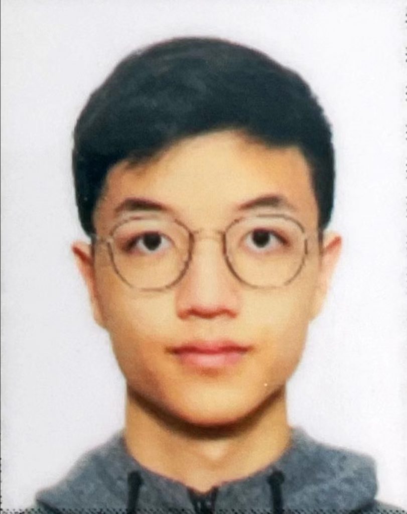 Team – Miniature Intelligent Robotic System (MIRS) Lab