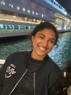 Team – Miniature Intelligent Robotic System (MIRS) Lab