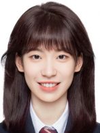 Team – Miniature Intelligent Robotic System (MIRS) Lab